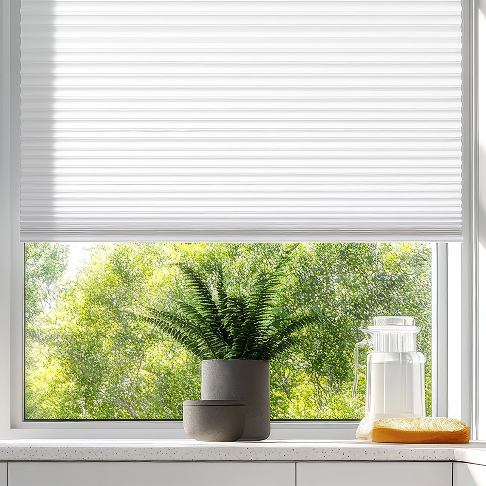Cordless Translucent Pleated Blinds – The Blind Store